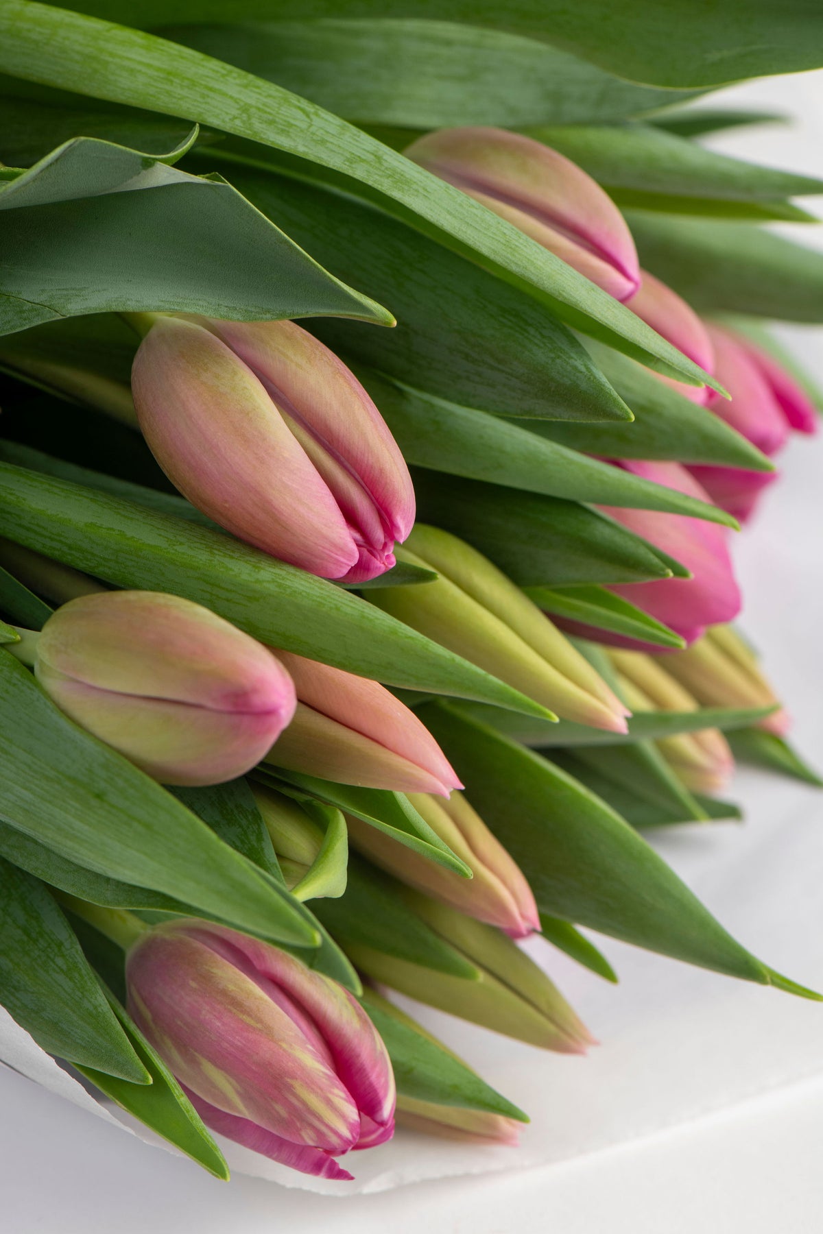 Say It With Flowers